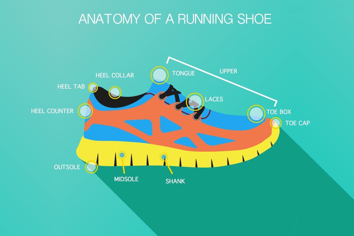 Anatomy Of A Running Shoe What Are The Parts Of A Running Shoe 