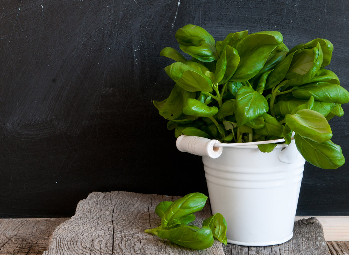 Basil: How to Use, Cook & Store Basil | Nutrition + Health Benefits