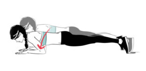 How To Do Planks: Proper Form, Benefits, Variations - Wellnessed