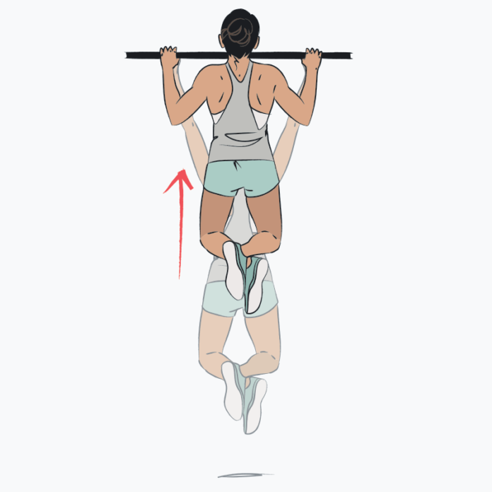 Bodyweight Workout for Beginners (+ the Best Bodyweight Exercises)