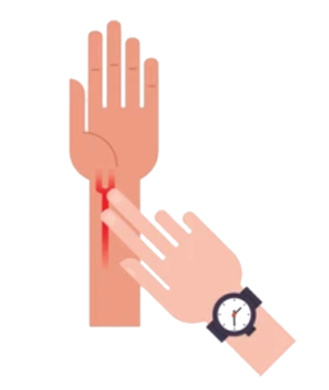 How to Calculate Your Heart Rate Training Zone (Including Zone 2)