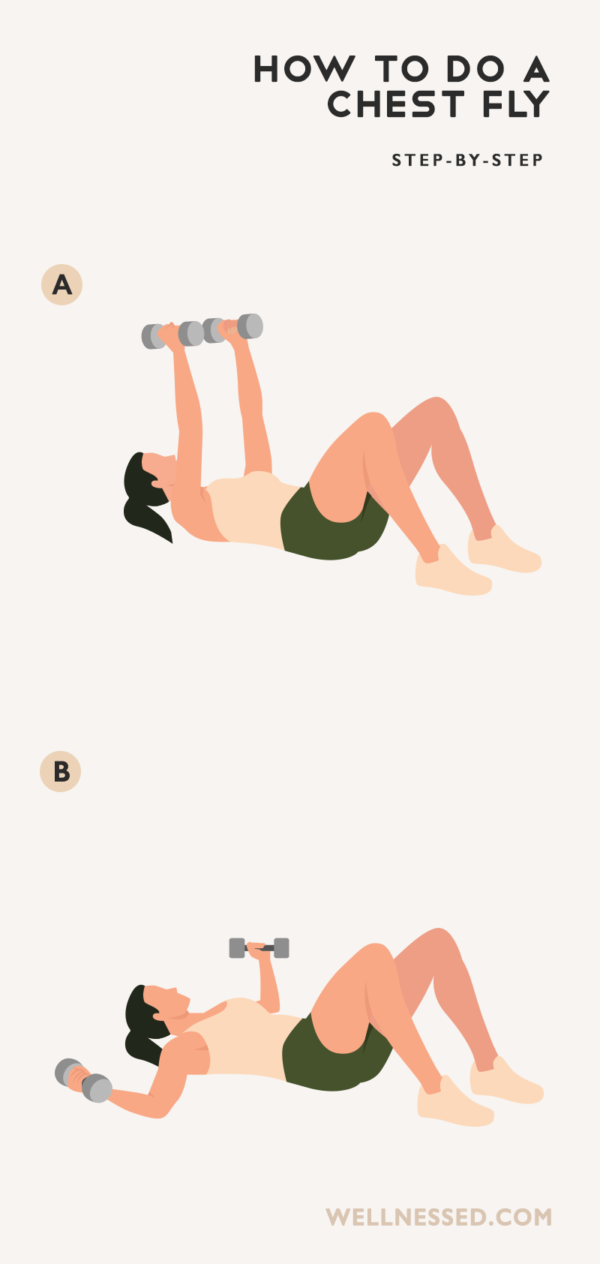 How to Do a Chest Fly | Illustrated Exercise Guide