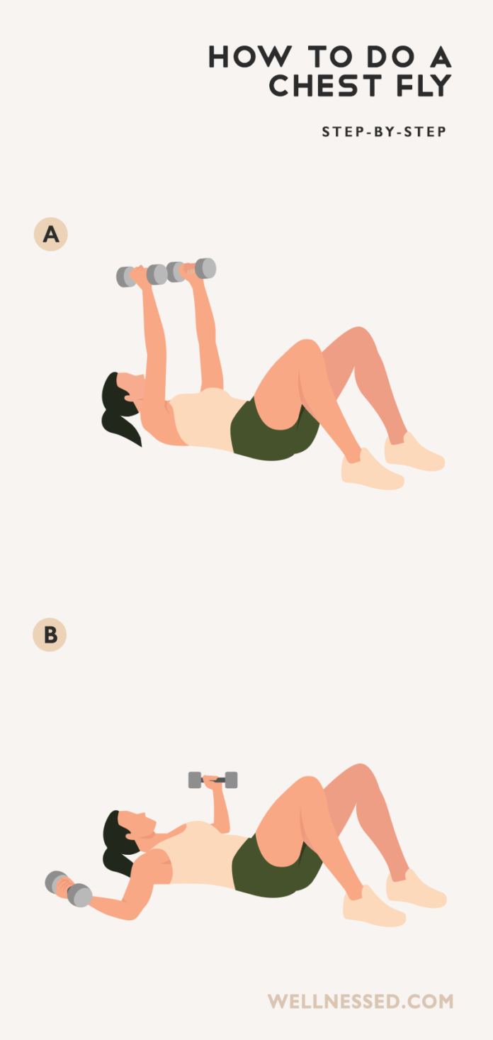 How to Do a Chest Fly | Illustrated Exercise Guide